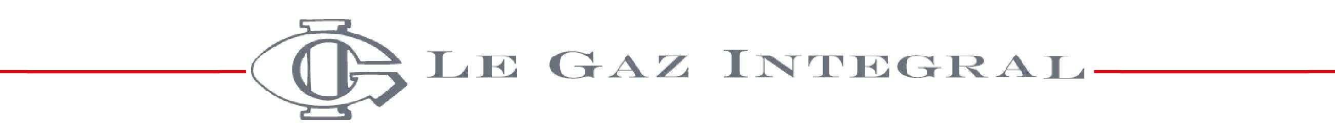 International presence - Le Gaz Intégral Suisse